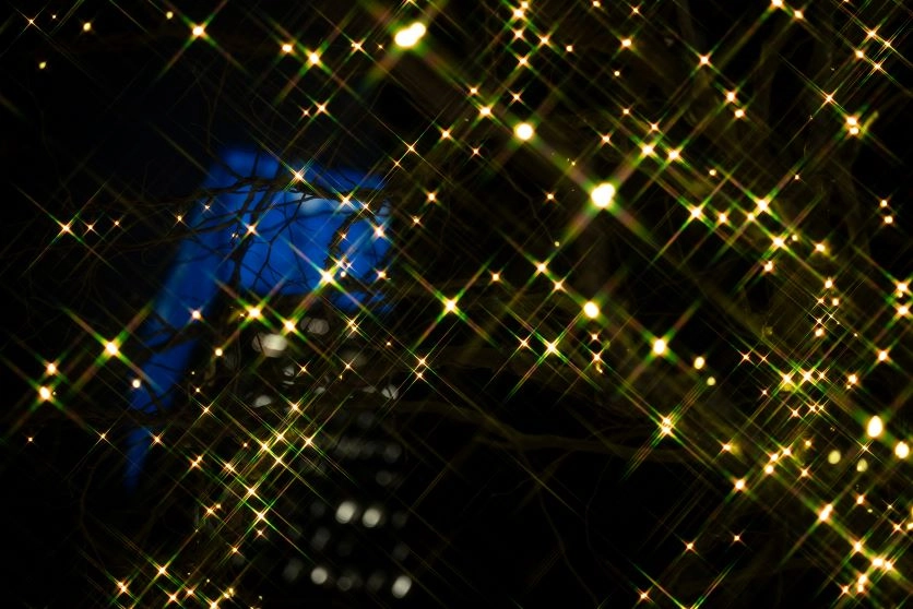 [How to Photograph Illuminations] Tips for taking beautiful photos and ...