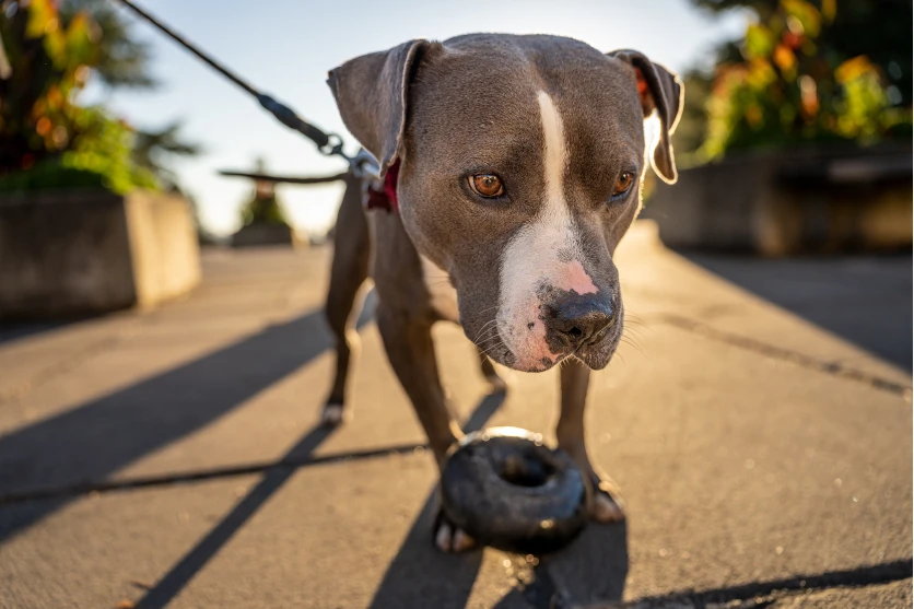 What are camera angles and positions in photography? Effective usage ...